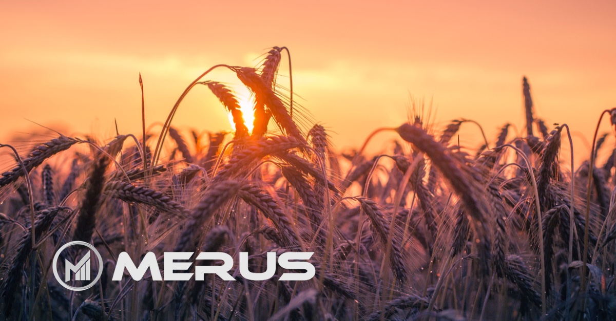 Merus Companies | Your diversified agribusiness enterprise